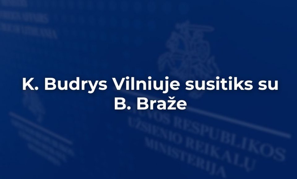 K. Budrys Vilniuje susitiks su Latvijos užsienio reikalų ministre ...